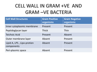 practical_gram_staining.ppt | Chemistry | Science