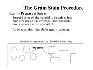 practical_gram_staining.ppt | Chemistry | Science