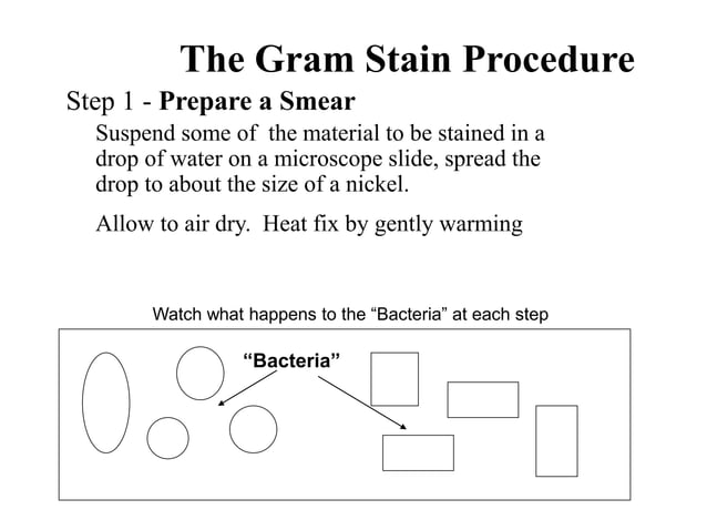 practical_gram_staining.ppt | Chemistry | Science