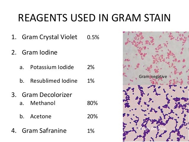 practical_gram_staining.ppt