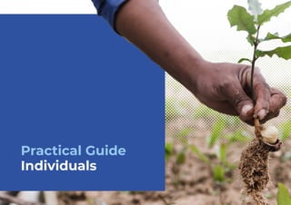 Clean Air Guide | PDF