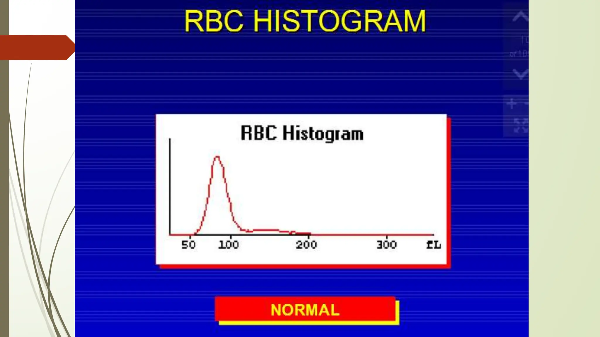 Pra;lk;lk;k;llk;lkjjk;';k';k'ctical Guide.pptx