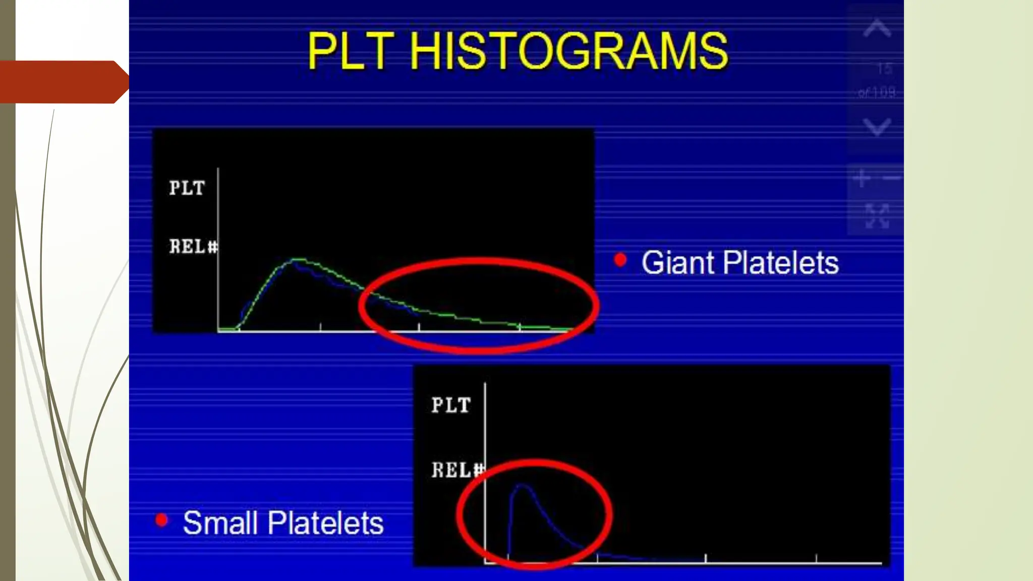 Pra;lk;lk;k;llk;lkjjk;';k';k'ctical Guide.pptx