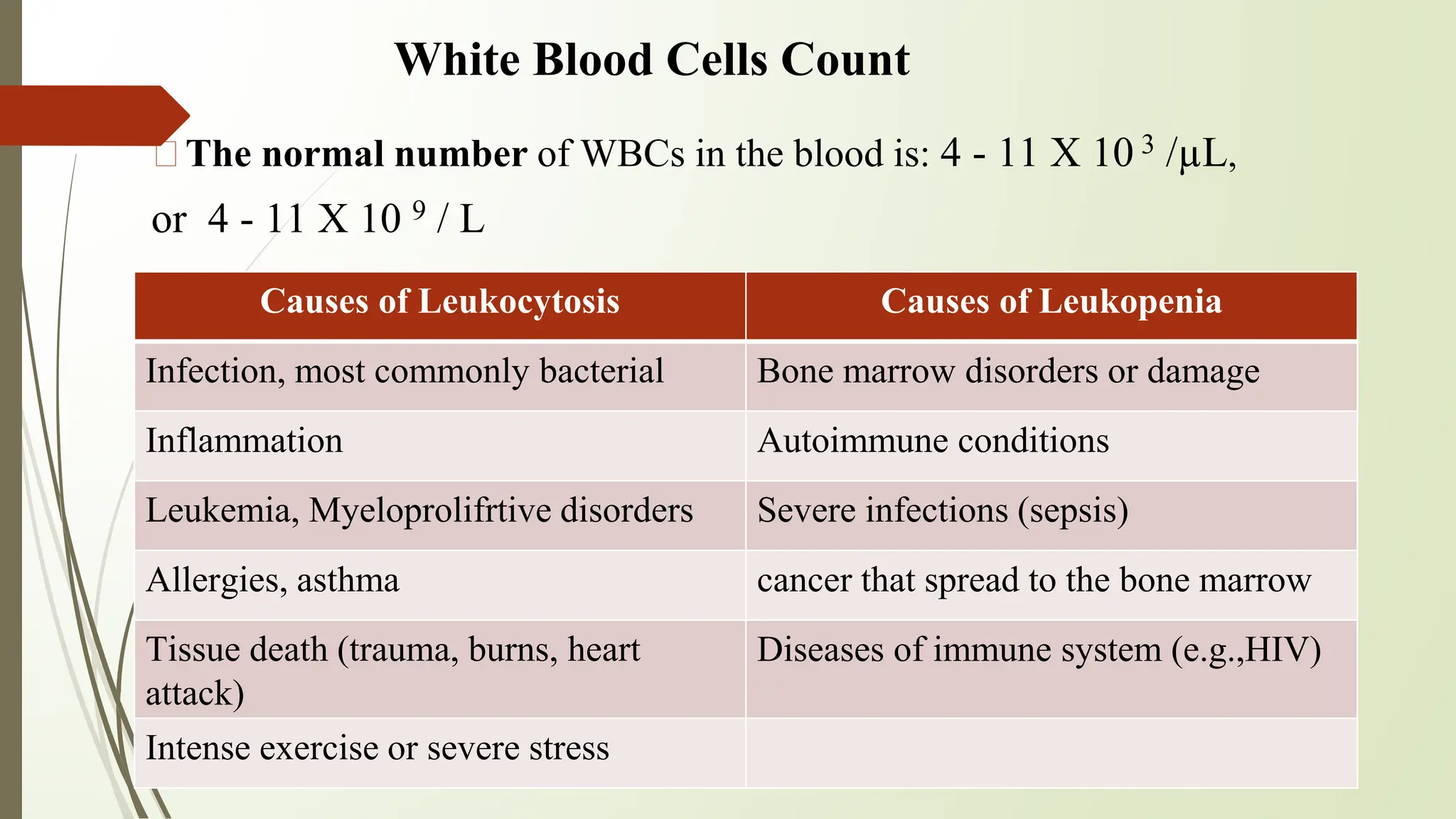 Pra;lk;lk;k;llk;lkjjk;';k';k'ctical Guide.pptx