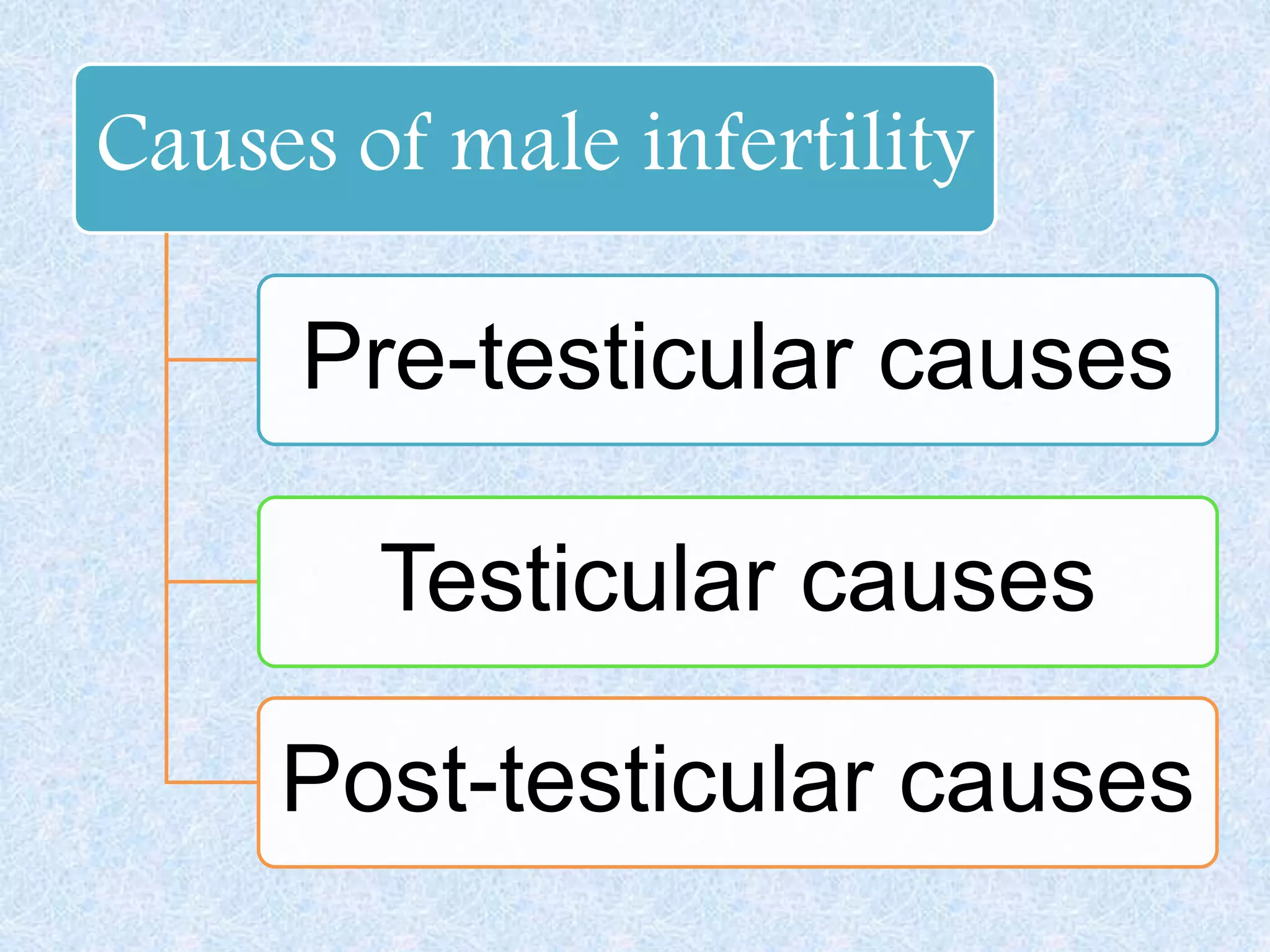 Practical guide lines for evaluation of male infertilty. | PPTX ...