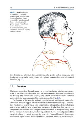 Practical guide to neck dissection | PDF