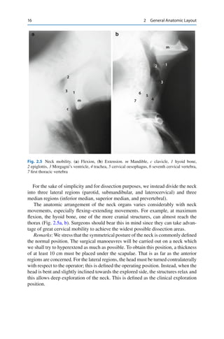 Practical guide to neck dissection | PDF