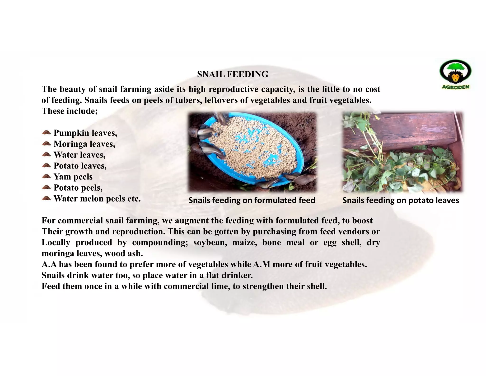 Practical guide to snail farming | PDF