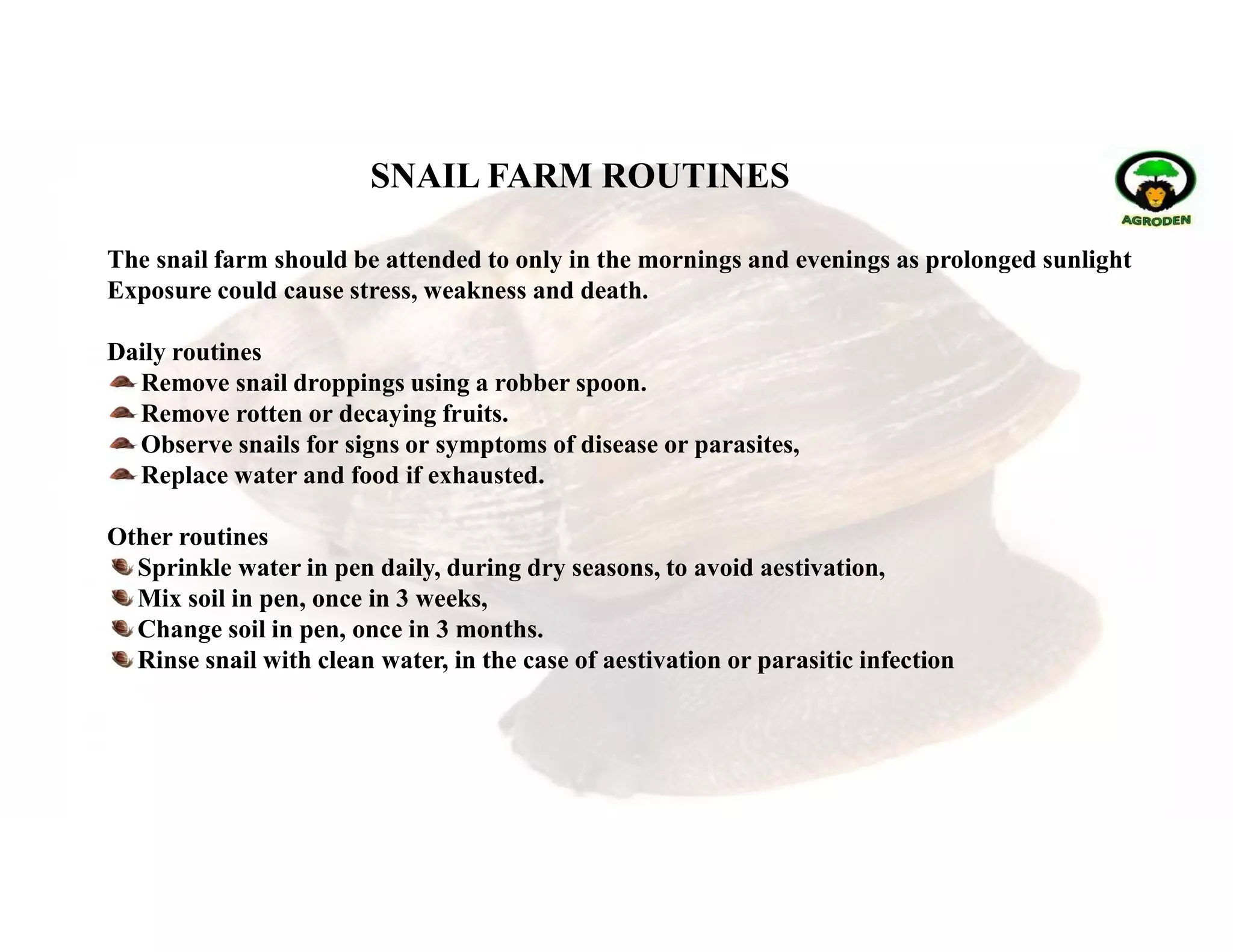 Practical guide to snail farming | PDF