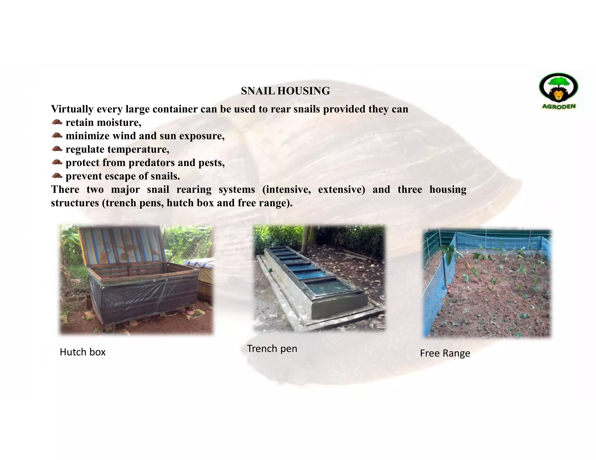 Practical guide to snail farming | PDF