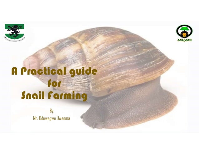 Practical guide to snail farming | PDF | Agriculture | Industries