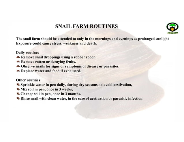 Practical guide to snail farming | PDF | Agriculture | Industries