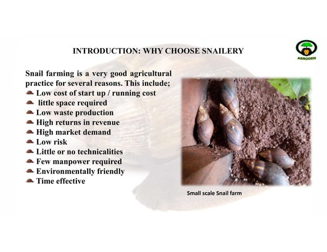 Practical guide to snail farming | PDF | Agriculture | Industries