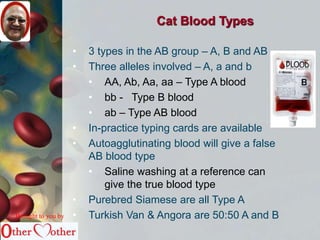 Practical hematology transfusion | PPT
