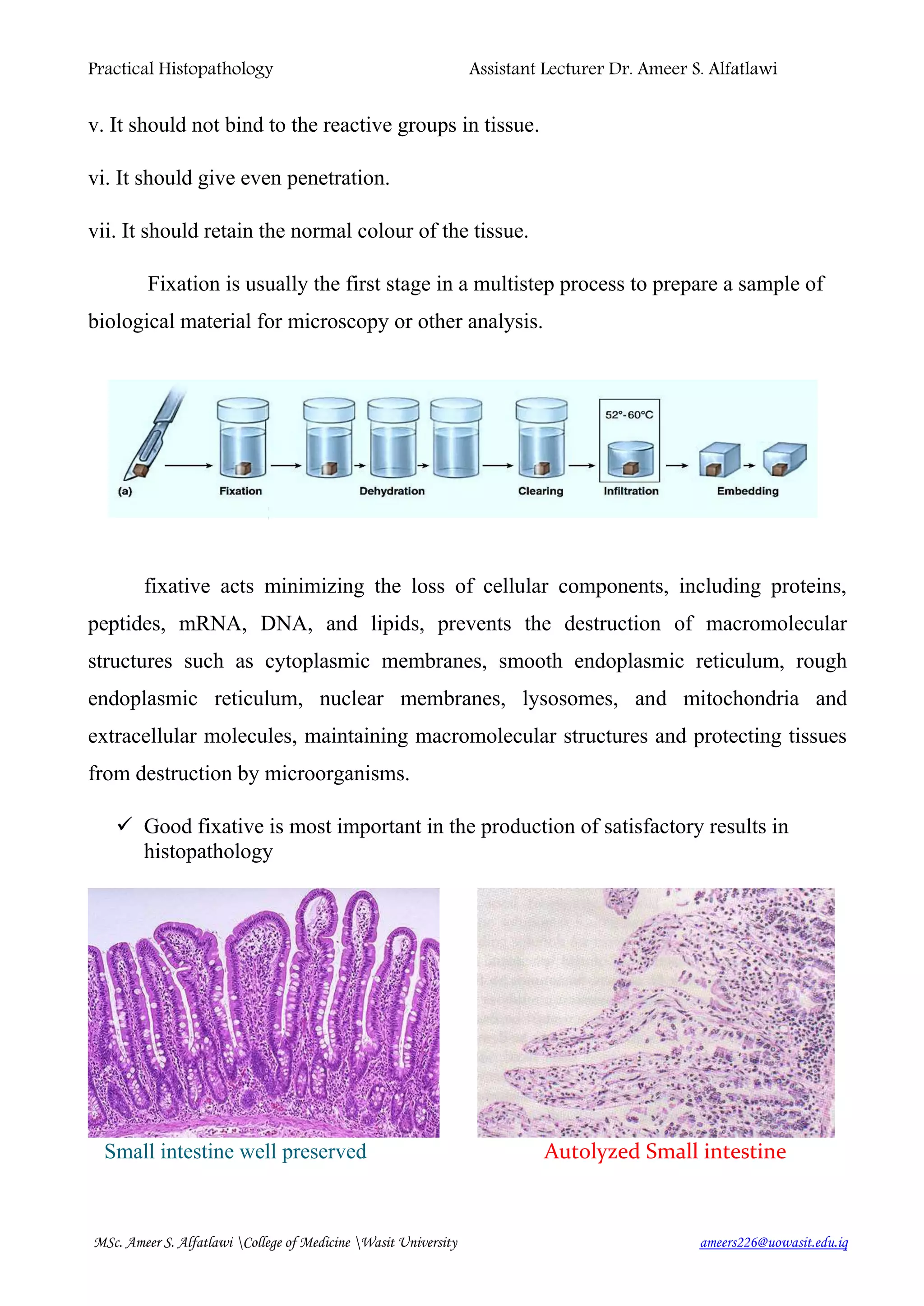 Practical histopathology and cytopathology dr.ameer | PDF