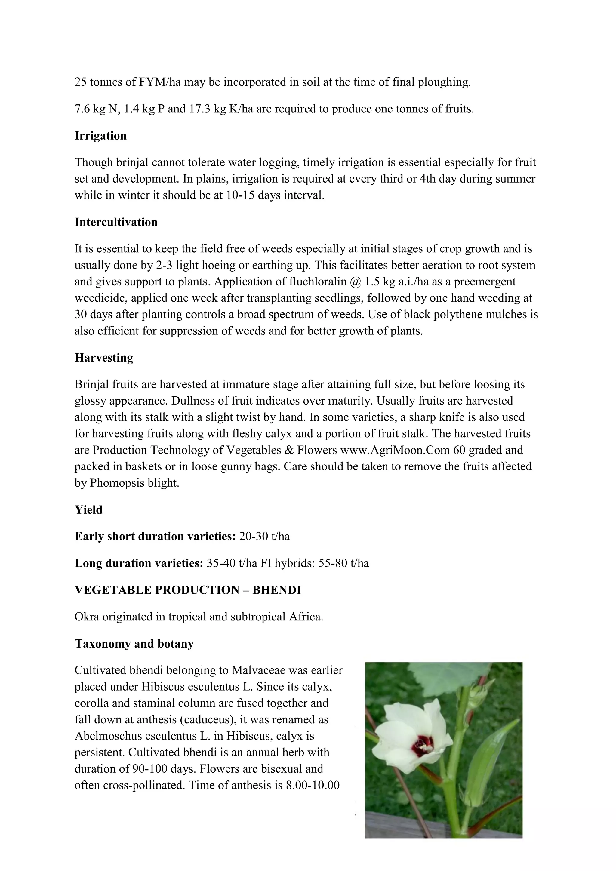 Practical manual of vegetable science | PDF