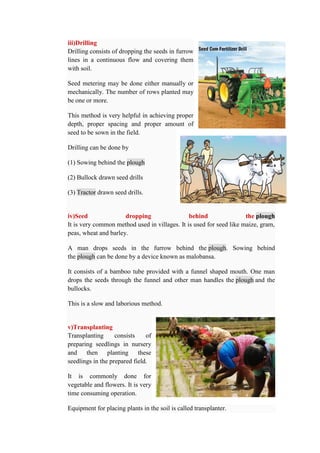 Practical manual of vegetable science | PDF