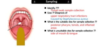 practical micro.pdf for health and medicine stidents | PDF