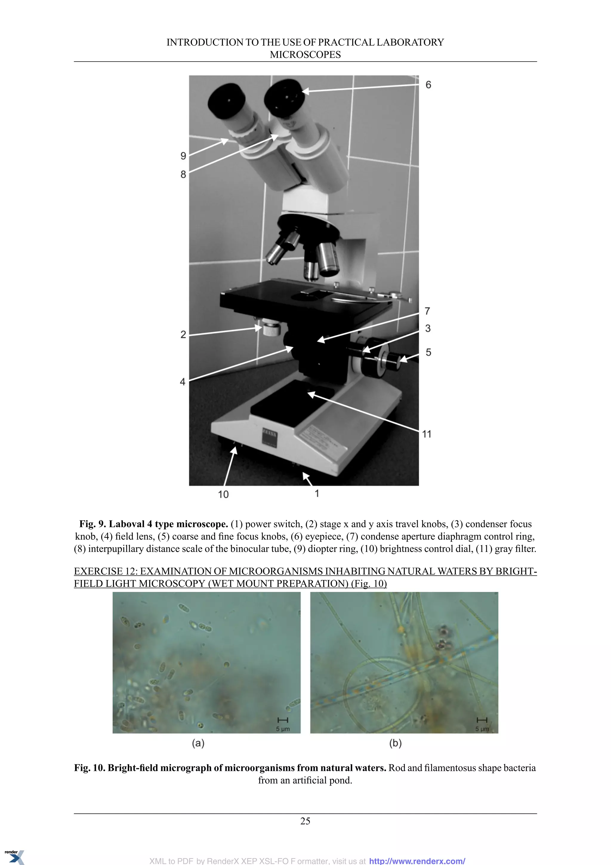 Practical microbiology | PDF