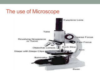 Practical microbiology 2 | PPTX