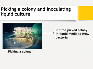 Practical Microbiology.food microbiology | PPTX