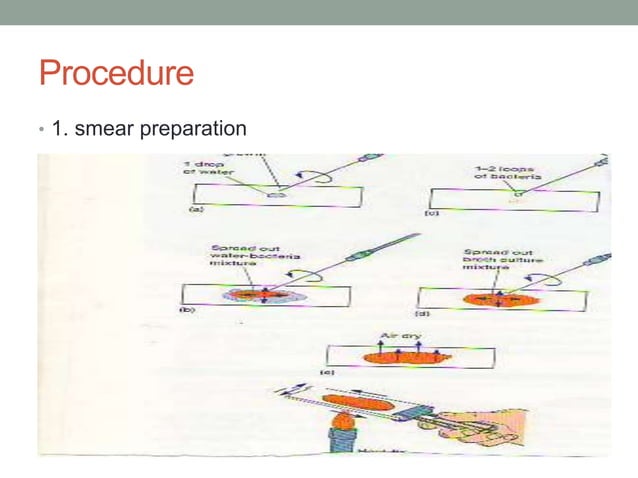 Practical microbiology 5 | PPT