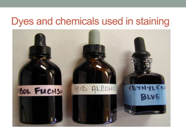 Practical microbiology 5 | PPTX