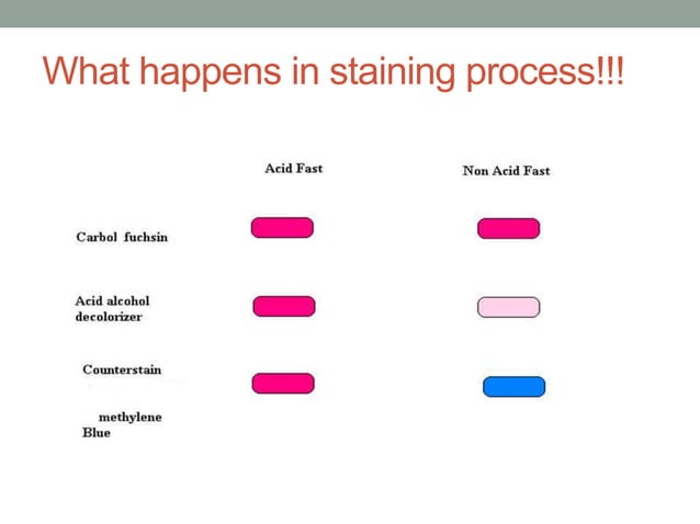 Practical microbiology 5 | PPTX