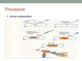 Practical microbiology 5 | PPTX