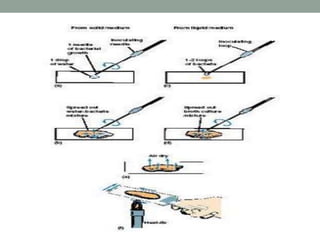 Practical microbiology 5 | PPTX