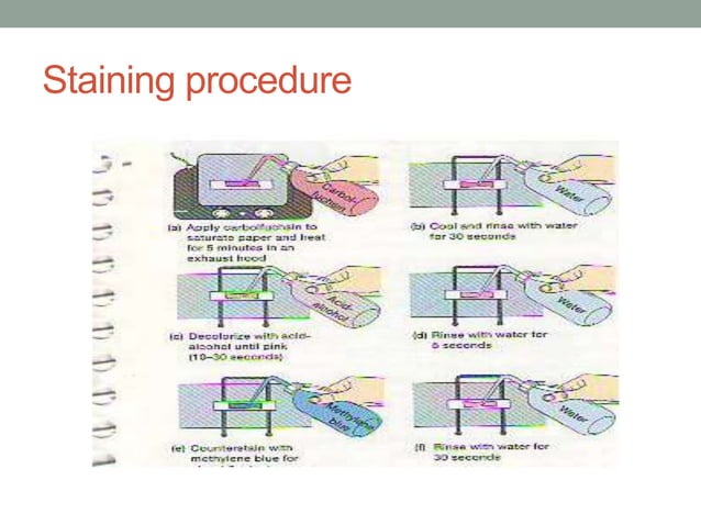 Practical microbiology 5 | PPTX