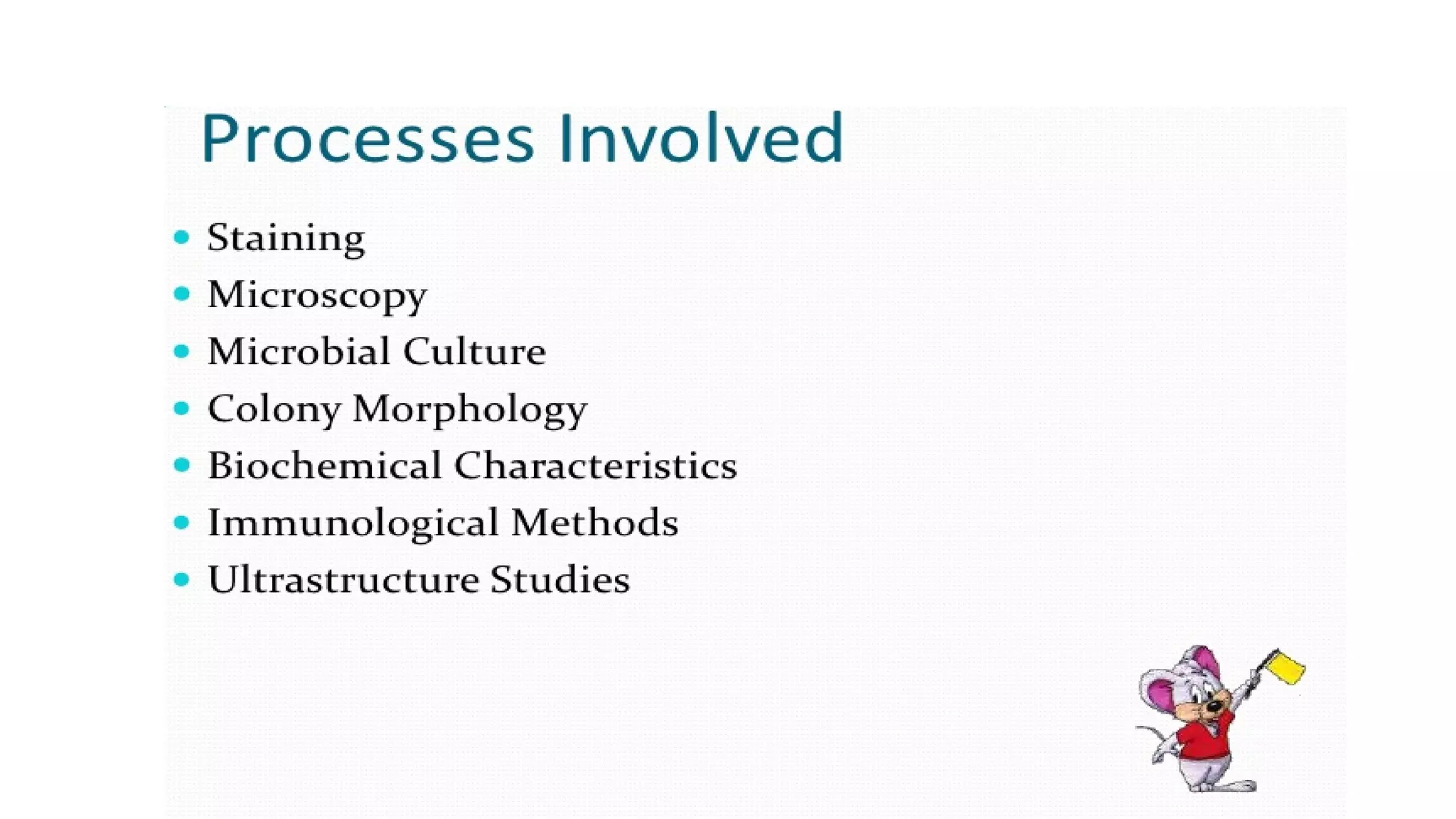 Practical microbiology and staining and examination of slides | PDF ...