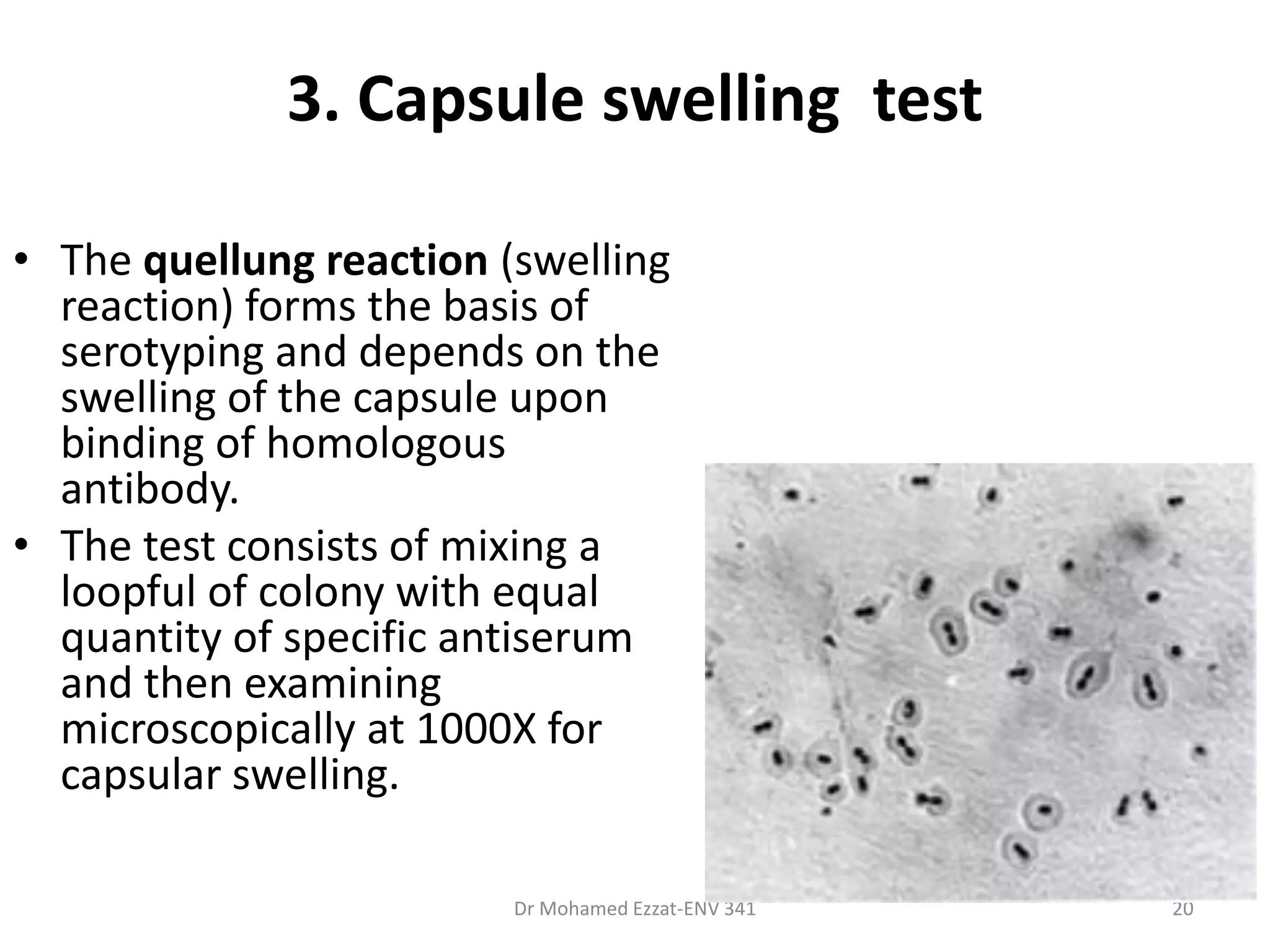 Practical microbiology Gram positive cocci | PDF