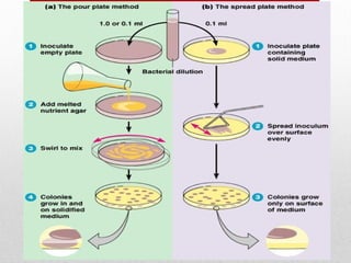 practical micro inoculation method .pptx