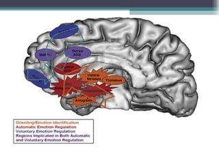 Practical neuroscience | PPT