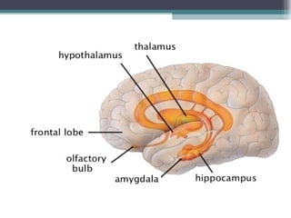 Practical neuroscience | PPT