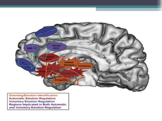 Practical neuroscience | PPT