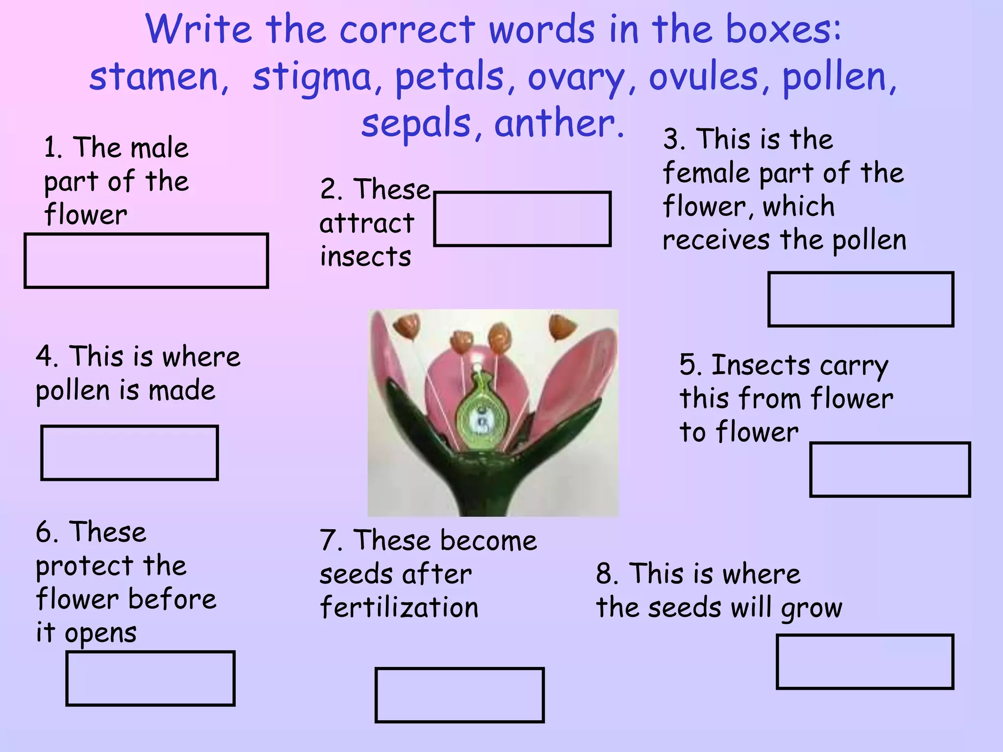 Practical no.2 REPRODUCTIVE PARTS OF AFLOWER.ppt | Infertility ...