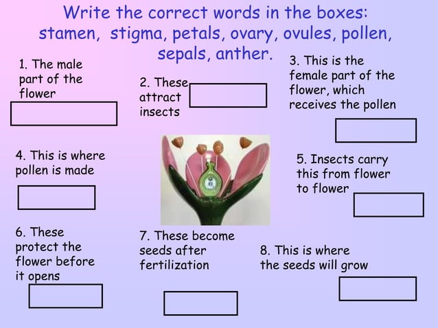 Practical no.2 REPRODUCTIVE PARTS OF AFLOWER.ppt | Infertility ...