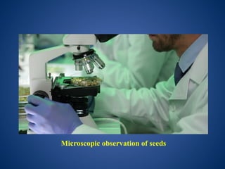 Methods of detection and identification of seed borne pathogens.pptx