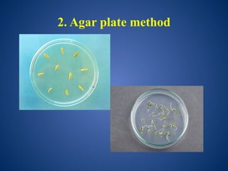Methods of detection and identification of seed borne pathogens.pptx