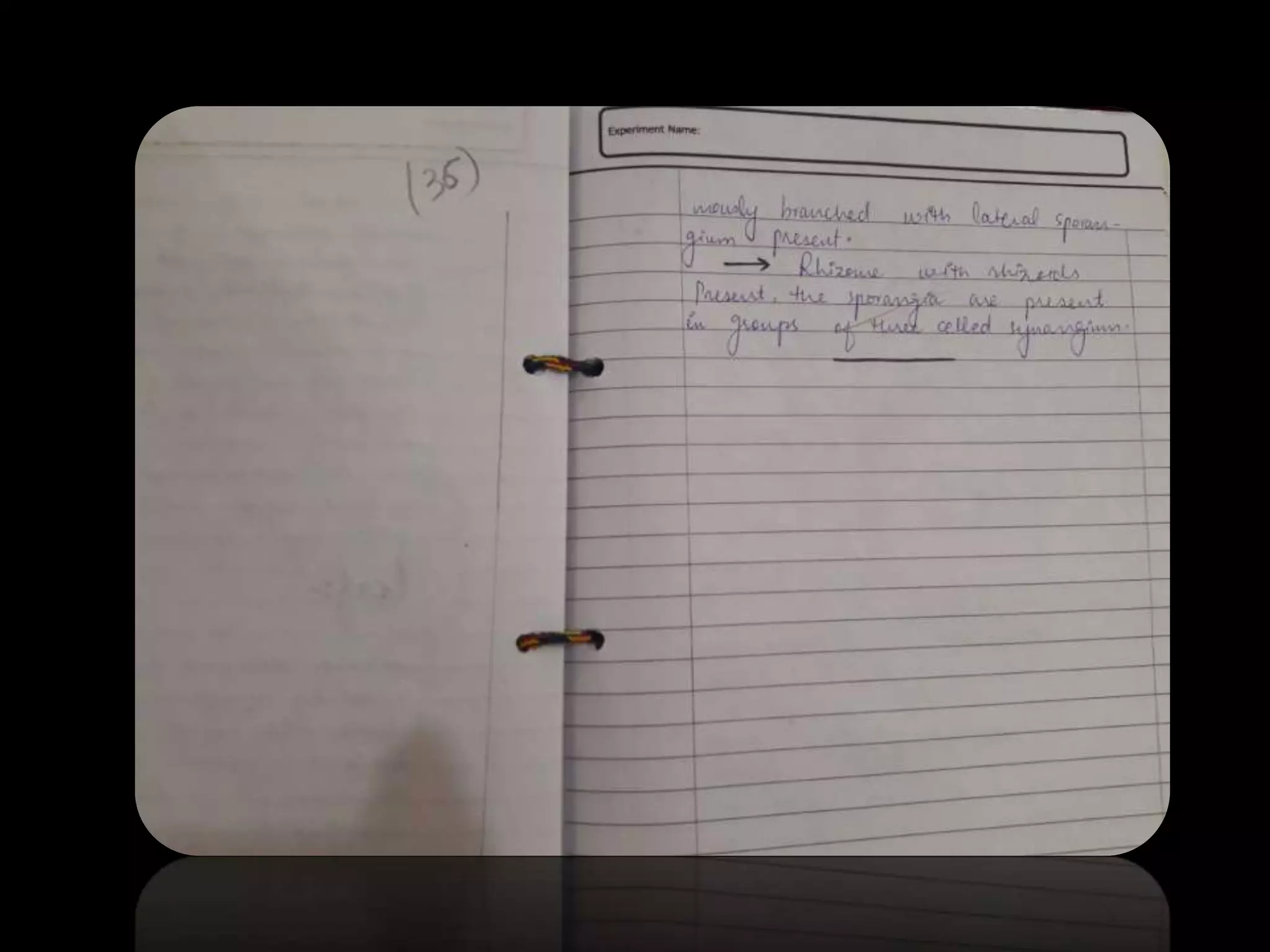 Practical notebook botany paper A | PPT