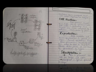 Practical notebook botany paper A | PPT