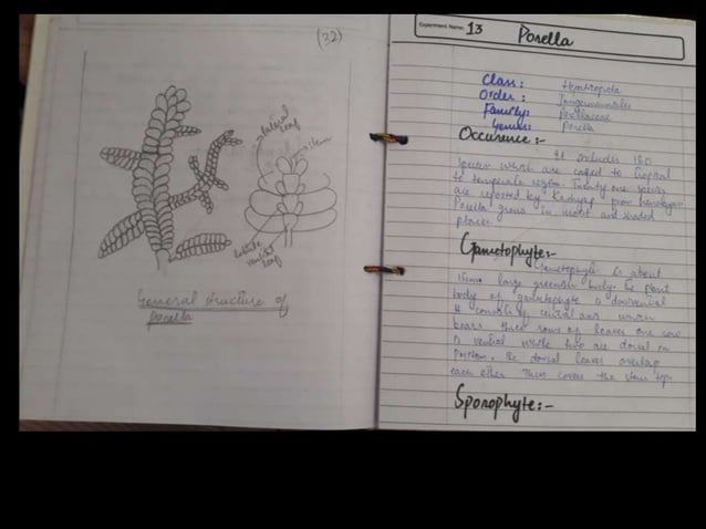Practical notebook botany paper A | PPT