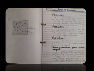 Practical notebook botany paper A | PPT | Free download