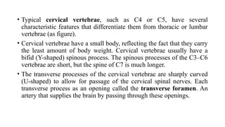 practical of Human Anatomy 1 (1) - Copy.pptx