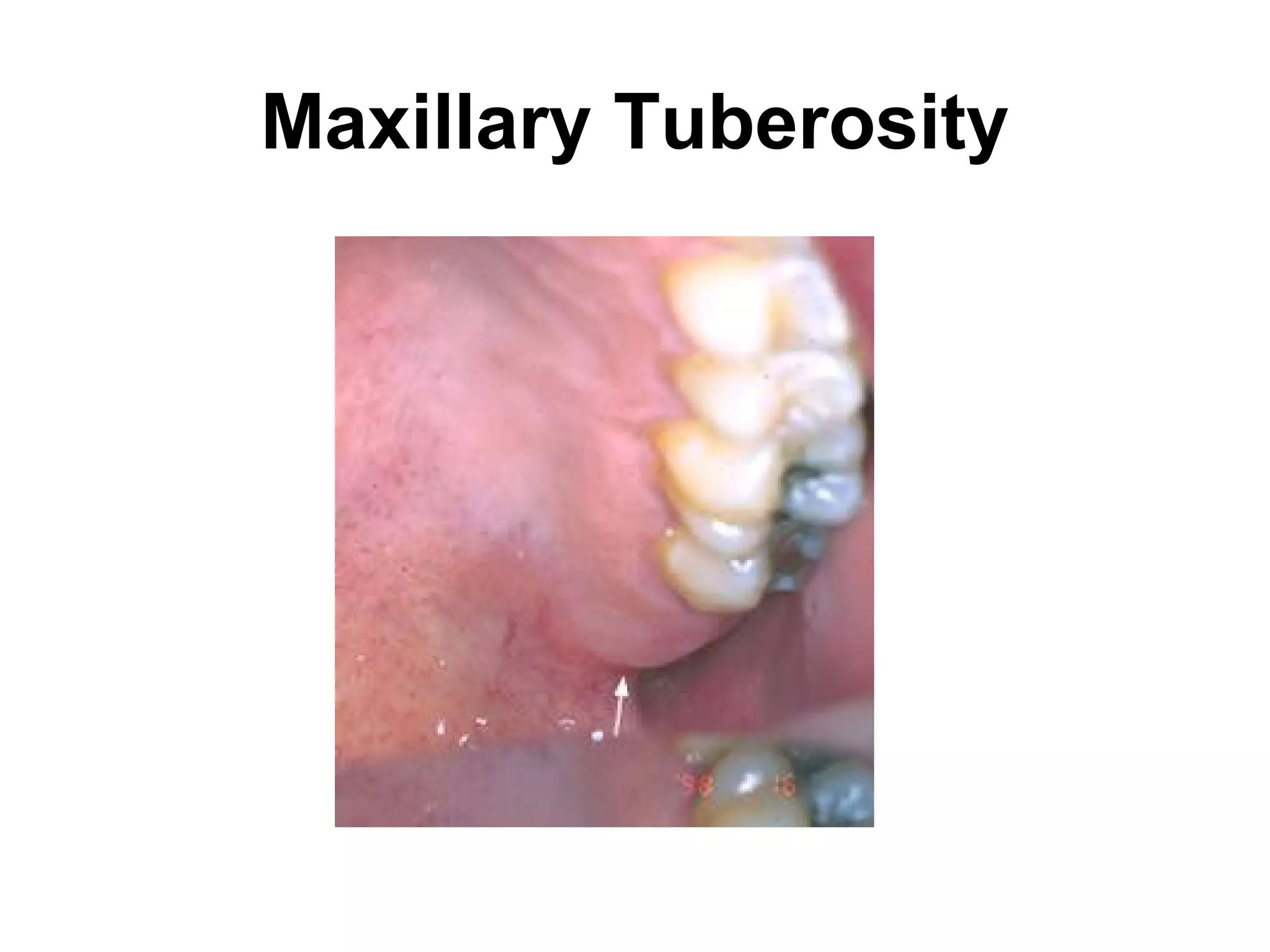 Practical oral diagnosis 2 | PPT