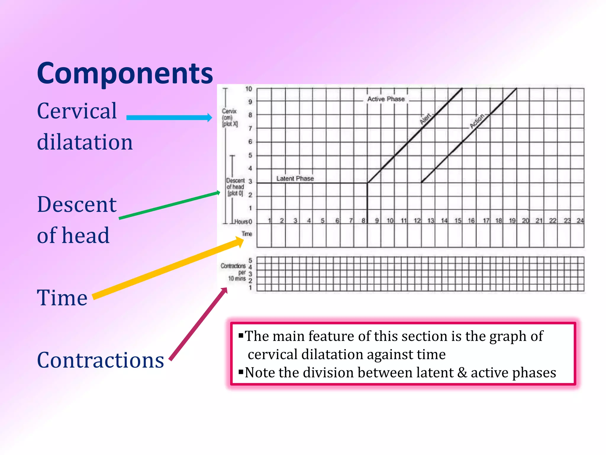 Practical partography | PDF