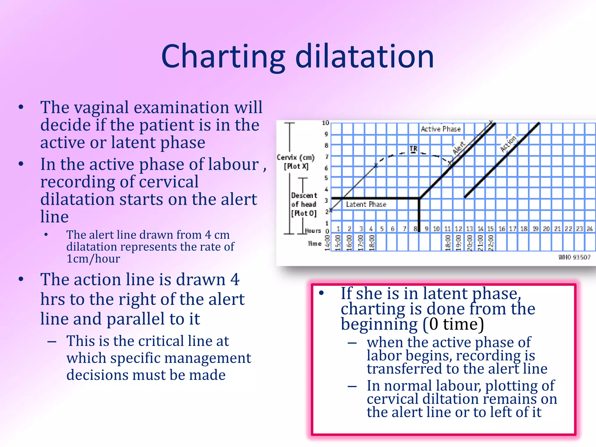 Practical partography | PDF