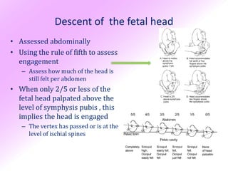 Practical partography | PDF